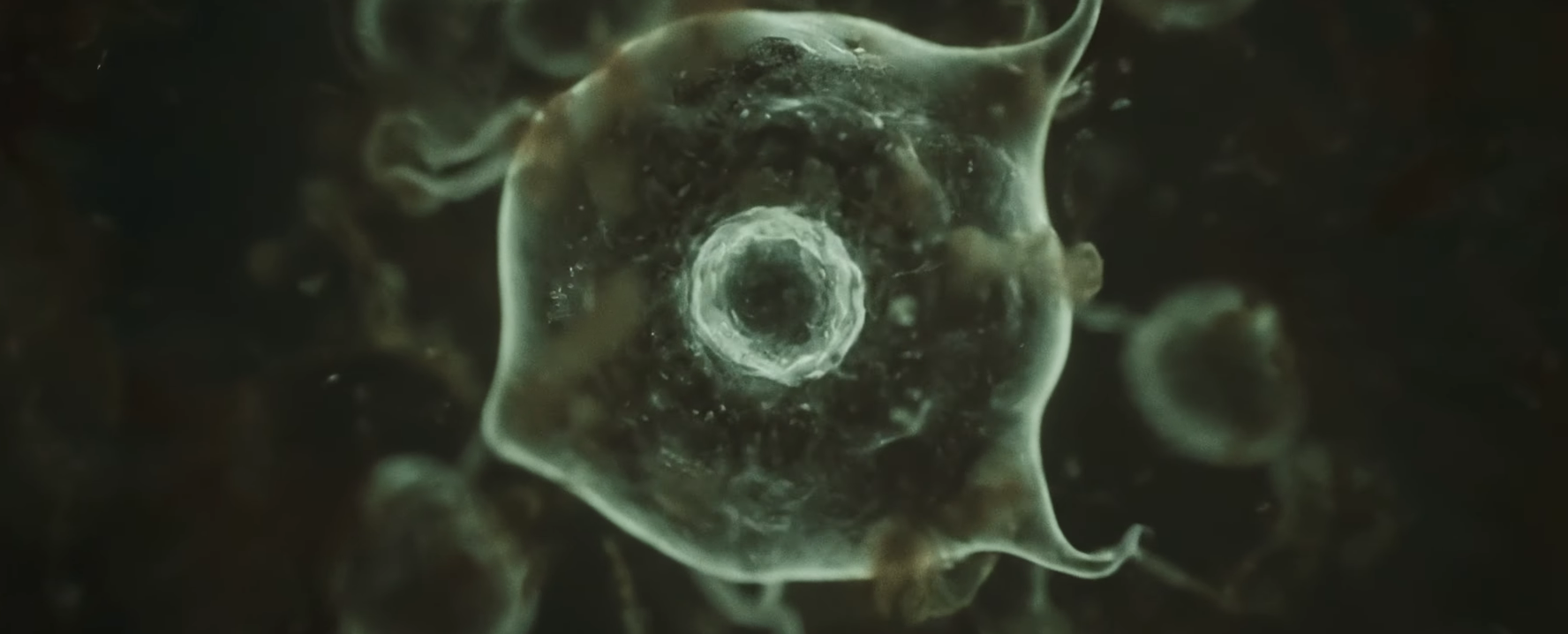 Space Whales - Solving the Mystery of Panspermia
